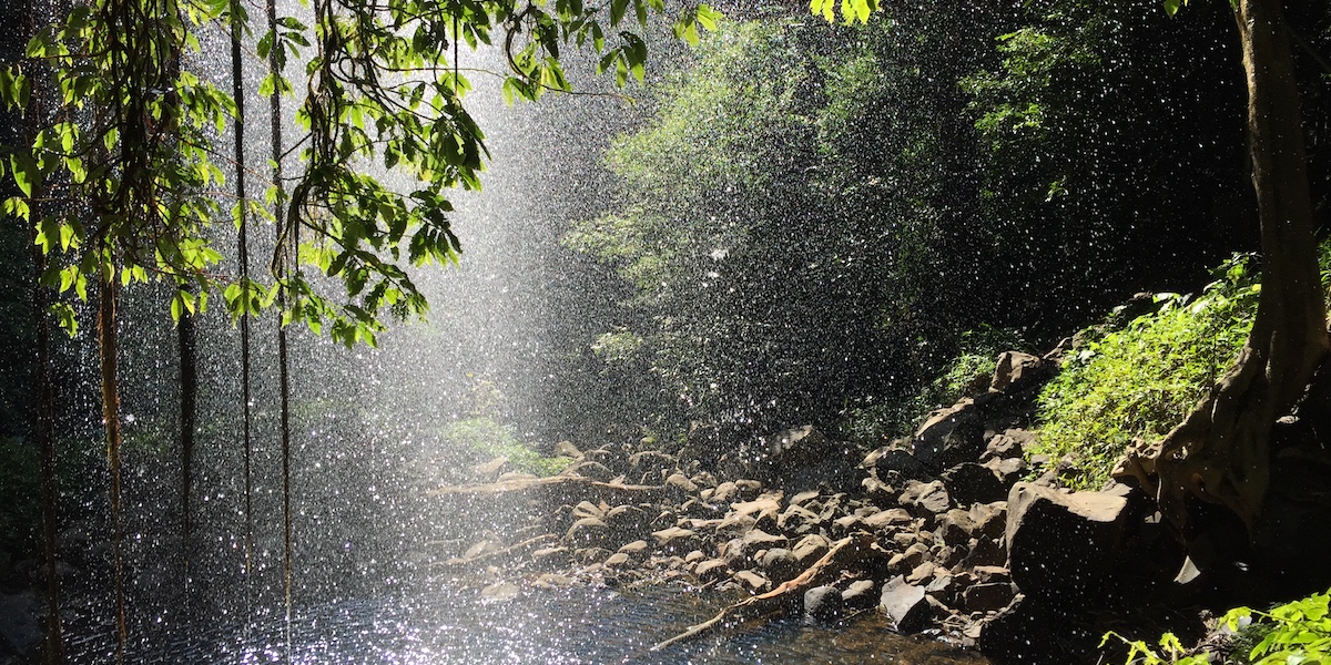 About – Andrew Woodward